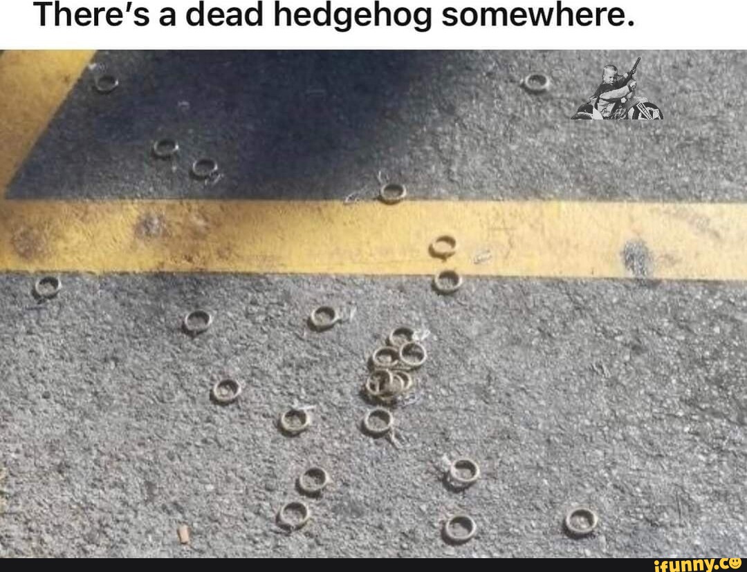 There's a dead hedgehog somewhere. - iFunny
