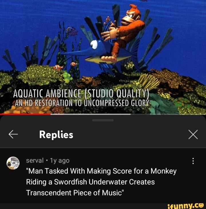 Uncompressed memes. Best Collection of funny Uncompressed pictures on ...