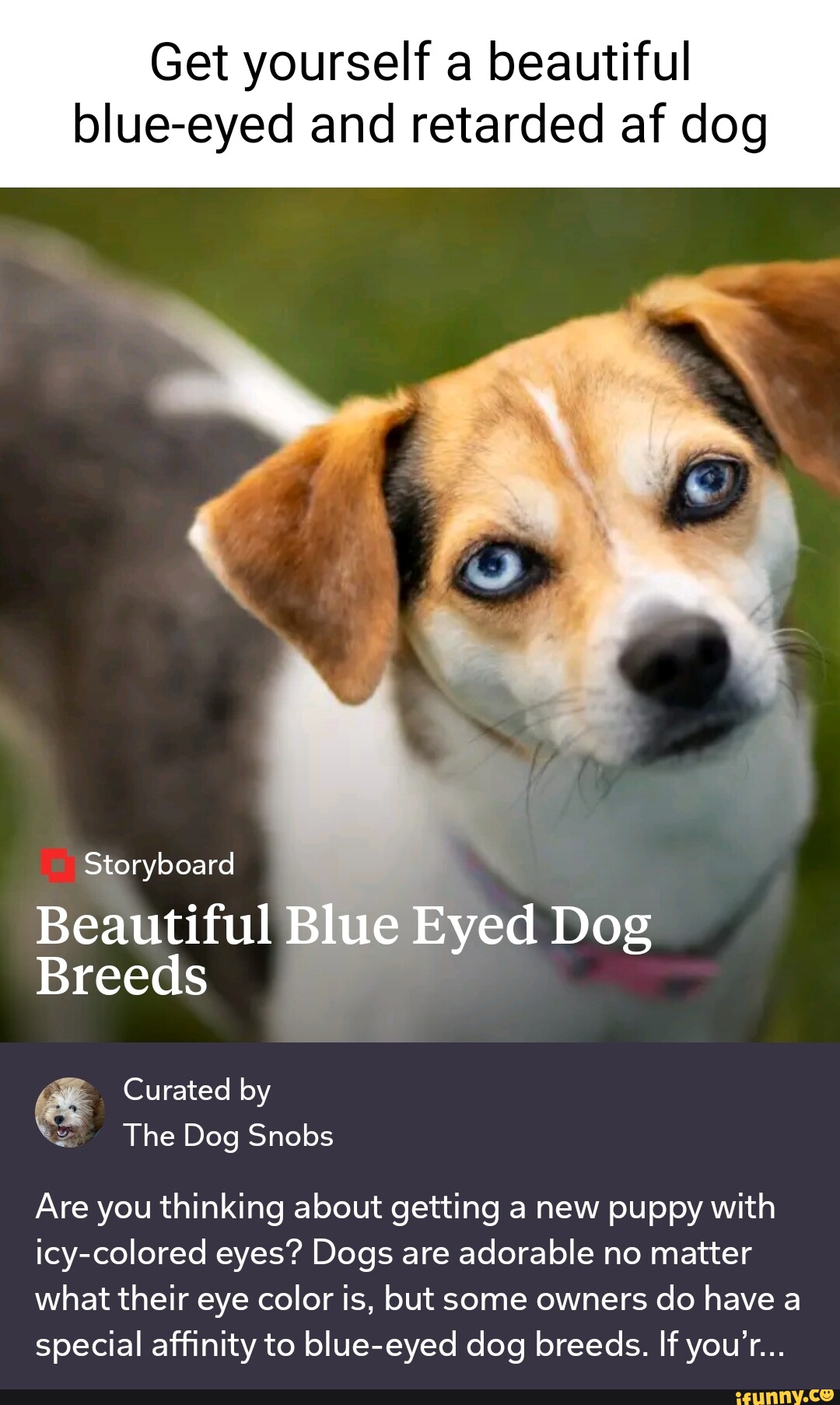 Storyboard memes. Best Collection of funny Storyboard pictures on iFunny