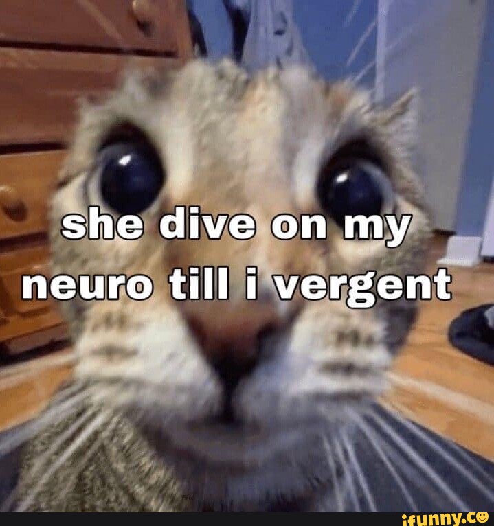 Video memes oQv1mltSA by Ferd: 8 comments - iFunny