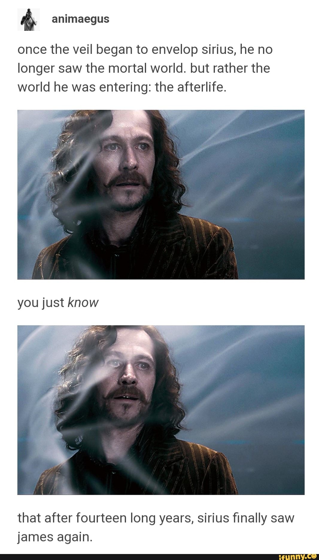 Hpmemes memes. Best Collection of funny Hpmemes pictures on iFunny