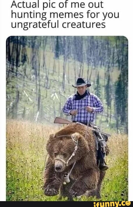 Actual pic of me out hunting memes for you ungrateful creatures - iFunny