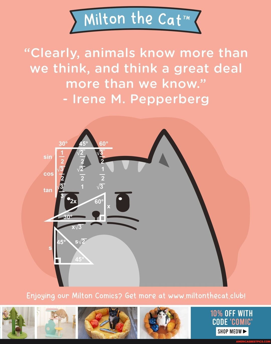 One look in their eyes tells you all you need to know 😸 - Milton the "C ...