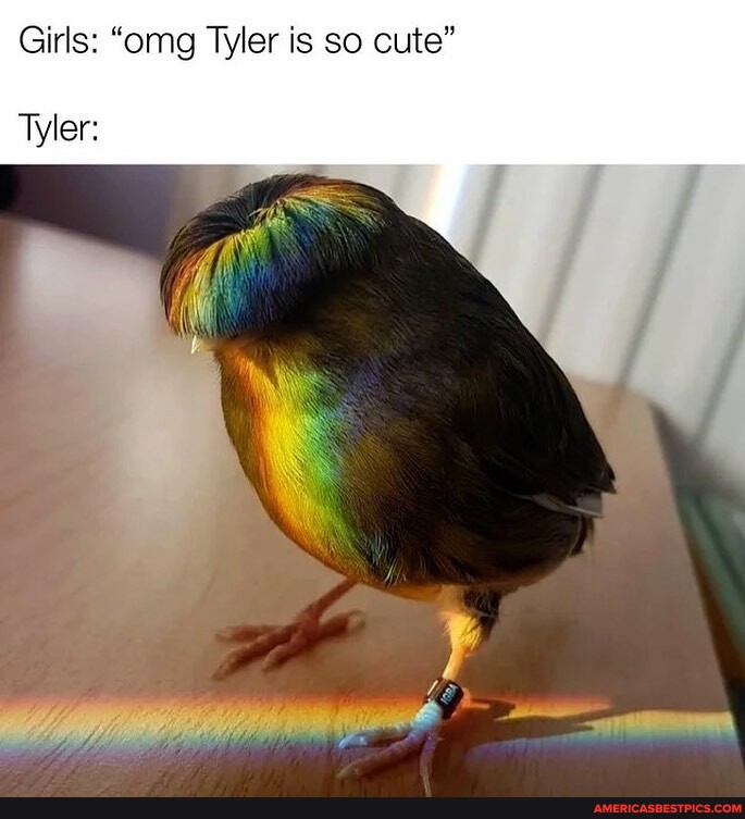 😍 - Girls: "omg Tyler is so cute" Tyler: - America’s best pics and videos