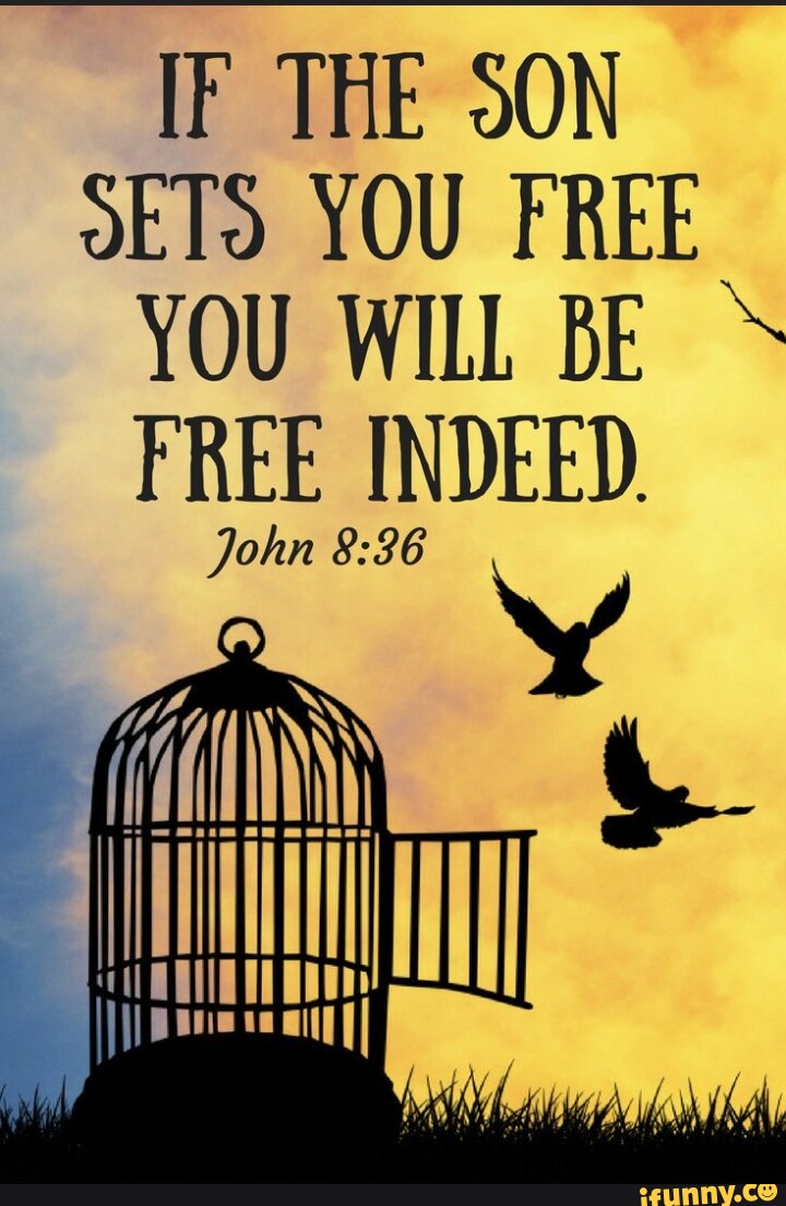 IF THE SON SETS YOU FREE YOU WILL BE FREE INDEED. John (ll fh) - iFunny