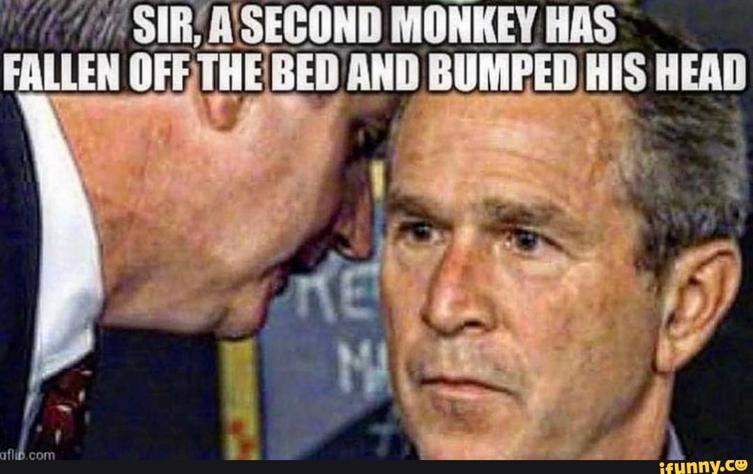 SIR! 'SECOND MONKEY HAS FALLEN THE BED AND BUMPED HIS HEAD - iFunny