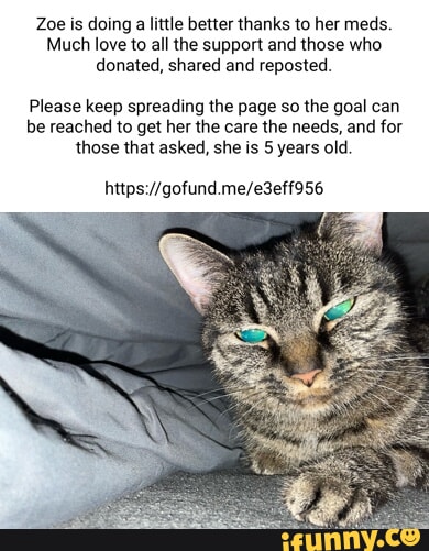 Zoe memes. Best Collection of funny Zoe pictures on iFunny