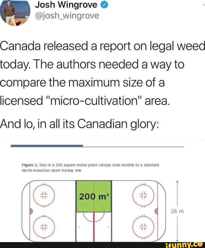 "nat tail has a life of his own - iFunny