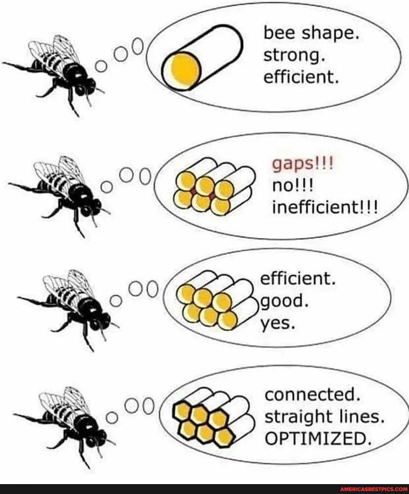 Bee shape. strong. efficient. gapsl!! inefficient!!! efficient ...