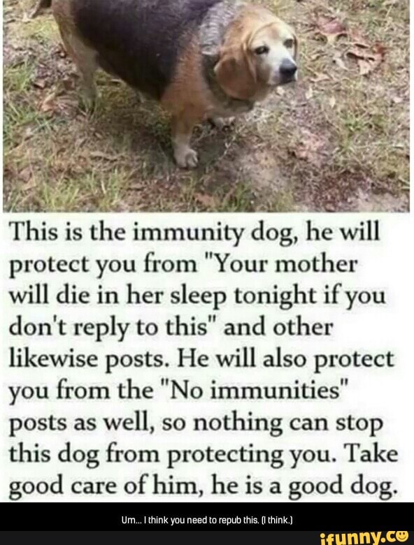 This is the immunity dog, he will protect you from "Your mother will ...