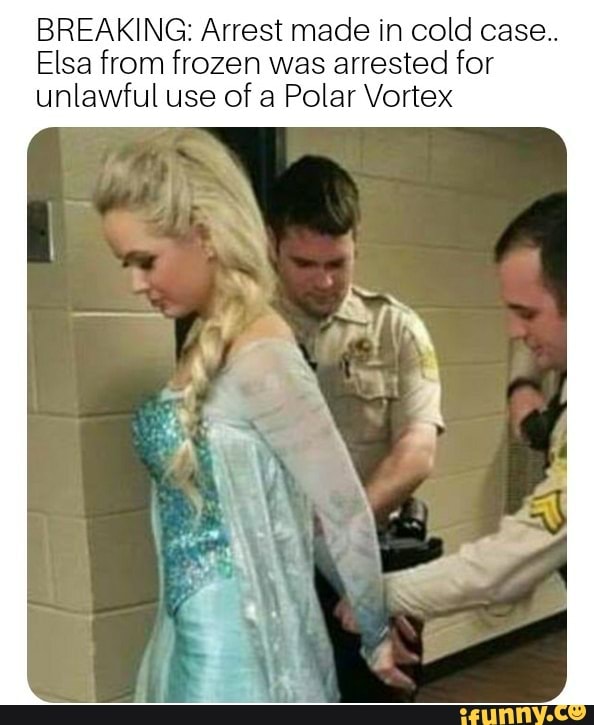 BREAKING: Arrest made in cold case“ Elsa from frozen was arrested for ...