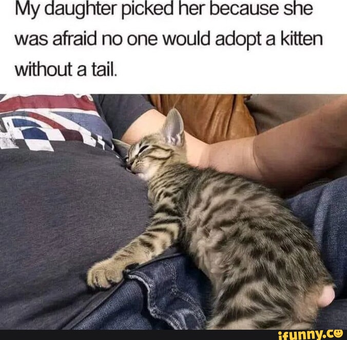 Ganon in his true form Daily Mirror @DailyMirror Huge wild boar dubbed ...