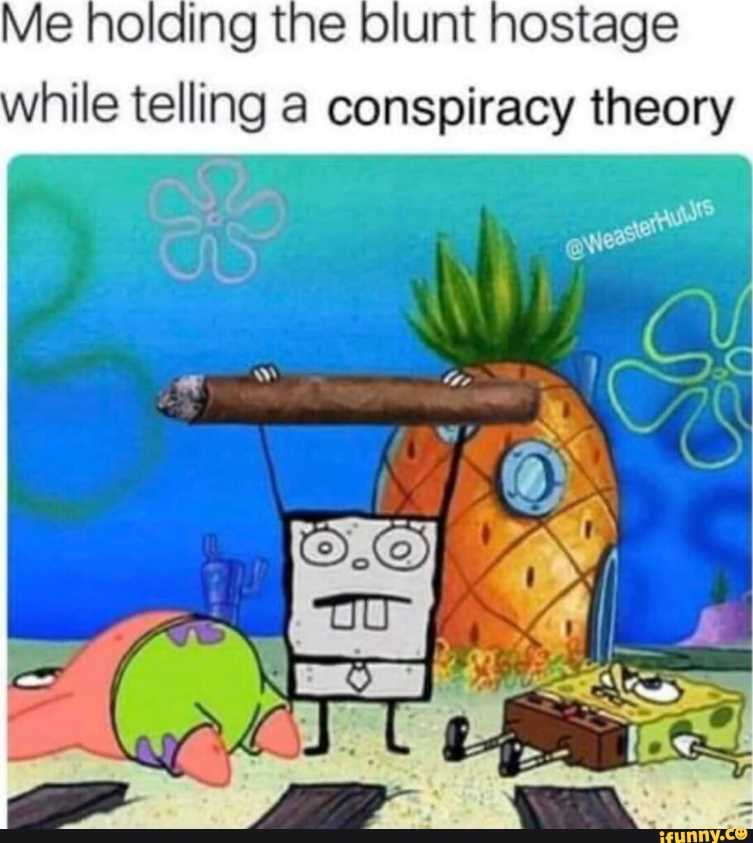 Me holding the blunt hostage while telling a conspiracy theory - iFunny
