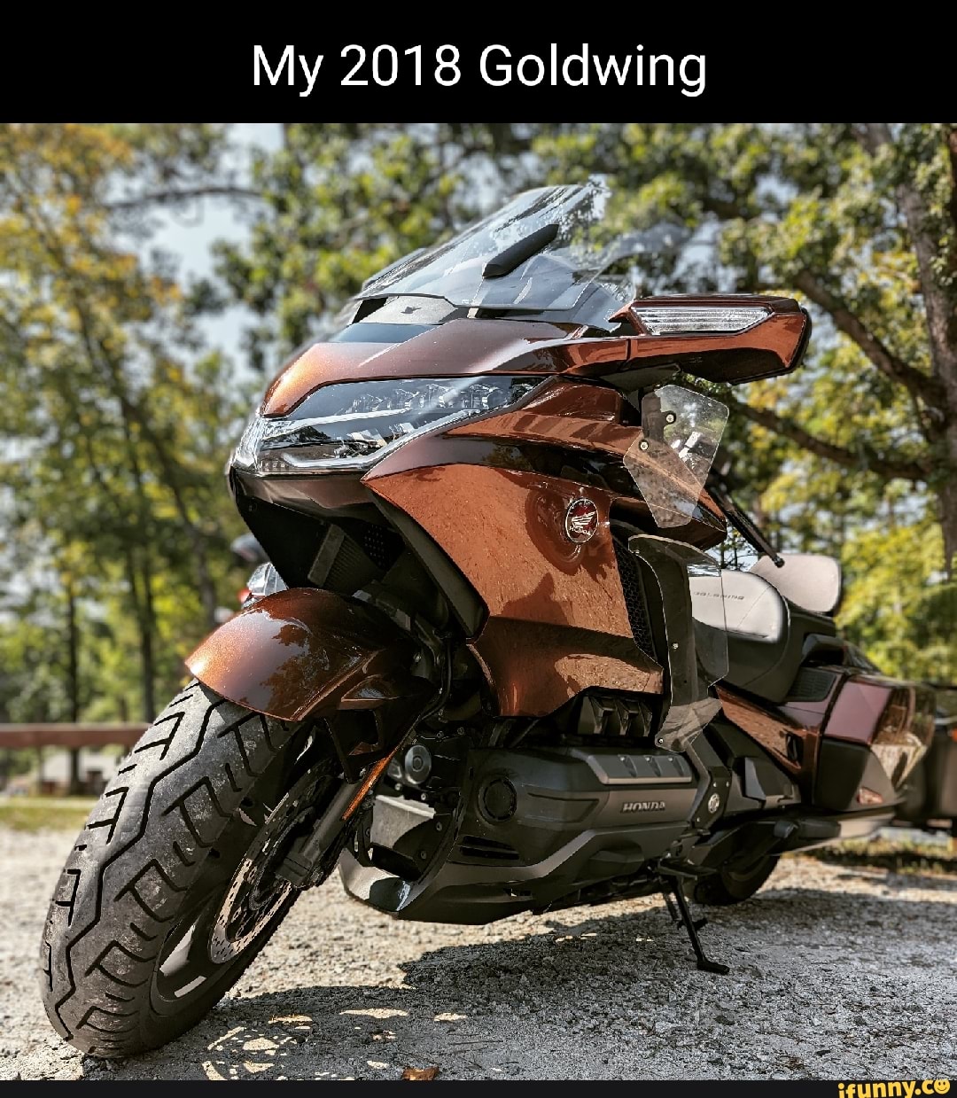 Goldwing memes. Best Collection of funny Goldwing pictures on iFunny
