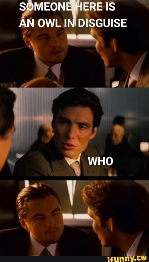 SOMEONE HERE IS AN OWL IN DISGUISE WHO - iFunny