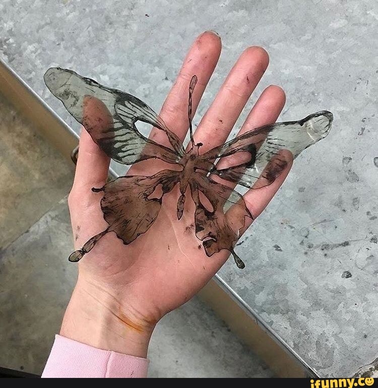 Butterflies memes. Best Collection of funny Butterflies pictures on iFunny