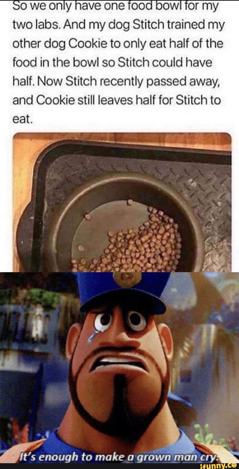 iFunny - the best memes, video, gifs and funny pics in one place