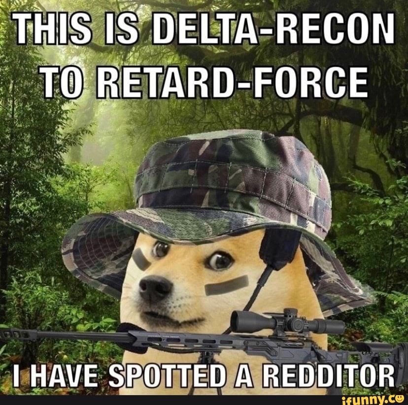 THIS IS DELTA-RECON TO FORCE I HAVE SPOTTED A REDDITOR - iFunny