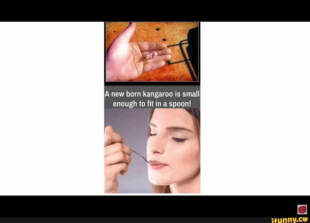 Newborn Kangaroo Teaspoon