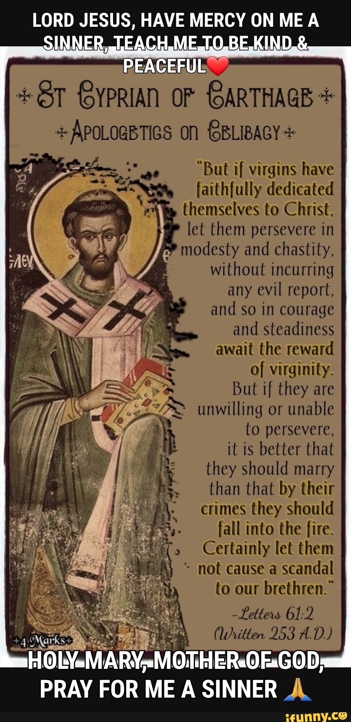 Modesty memes. Best Collection of funny Modesty pictures on iFunny