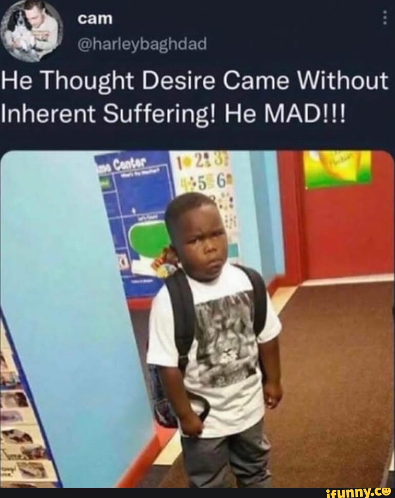 Cam @harleybaghdad He Thought Desire Came Without Inherent Suffering ...