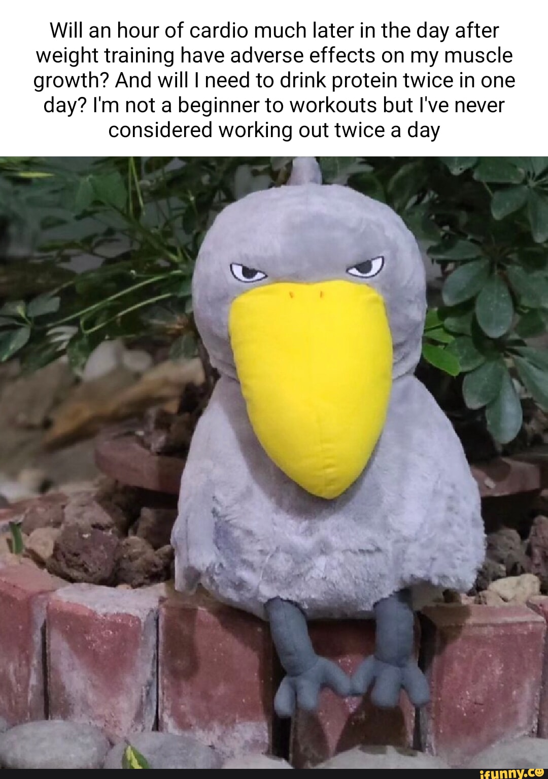 Treadmill memes. Best Collection of funny Treadmill pictures on iFunny