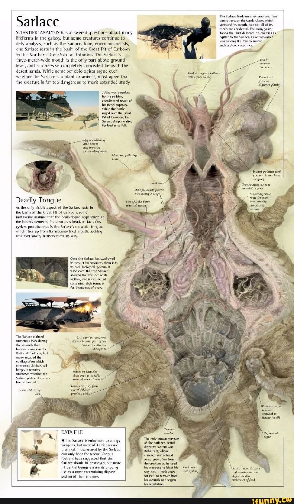 Carkoon memes. Best Collection of funny Carkoon pictures on iFunny