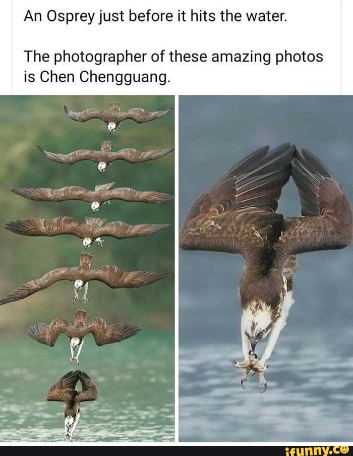 Grandma Margaret and Callie’s Accidental Friendship - His number is one ...