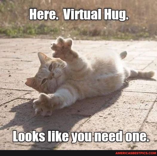 Here. Virtual Hug. Looks like you need one. - America’s best pics and ...