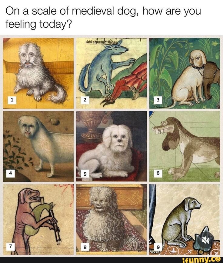 On a scale of medieval dog, how are you feeling today? - iFunny