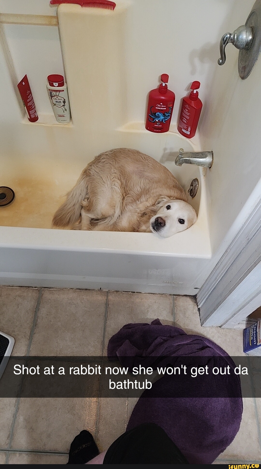 Bathtub memes. Best Collection of funny Bathtub pictures on iFunny