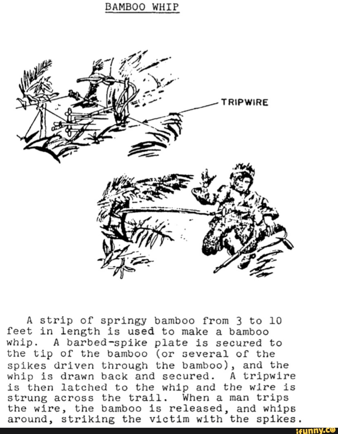 BAMBOO WHIP A strip of springy bamboo from 3 to 10 feet in length is ...