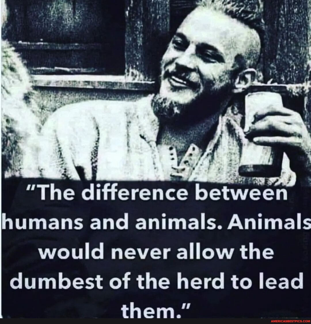 "The difference between humans and animals. Animals would never allow ...