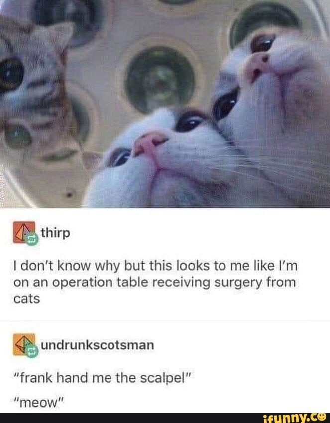 Scalpel memes. Best Collection of funny Scalpel pictures on iFunny