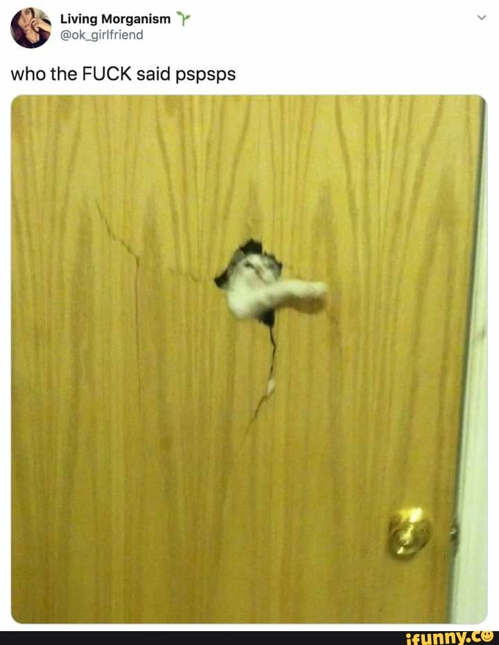 SS Living Morganism @ok_girltriend @ok_girltriend who the FUCK said ...