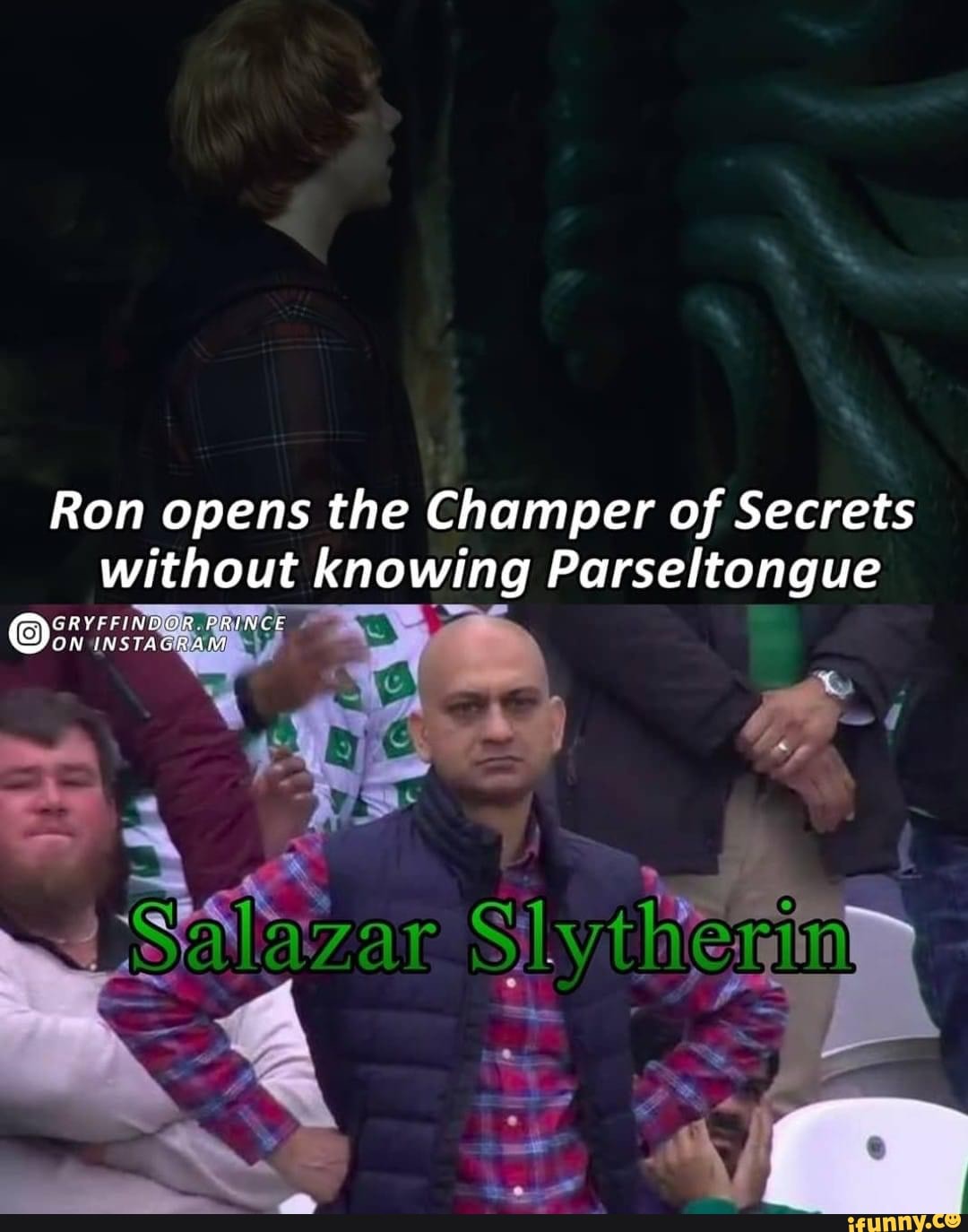 Parseltongue memes. Best Collection of funny Parseltongue pictures on ...