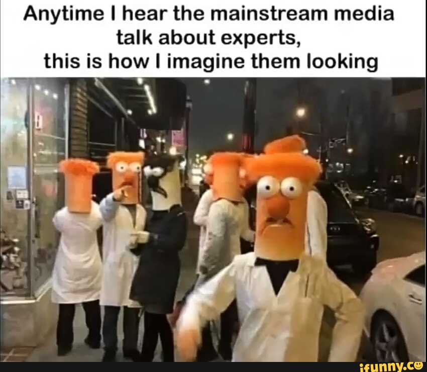 Anytime I hear the mainstream media talk about experts, this is how I ...