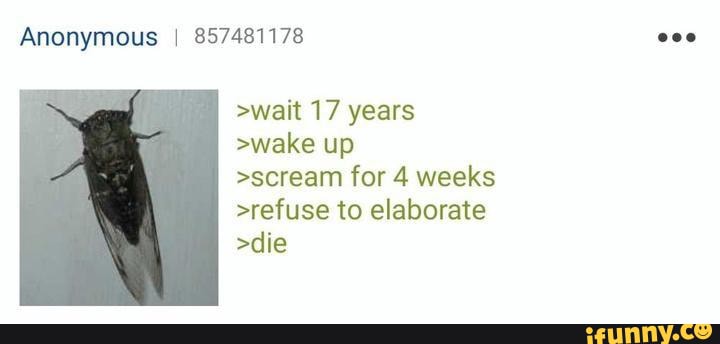 Meme dump 82: cicada boi - Anonymous 857481178 >wait 17 years >wake up ...