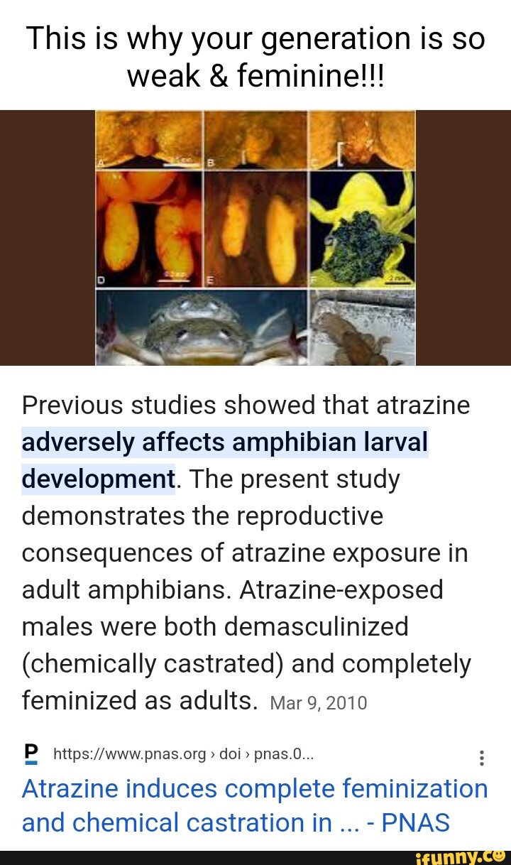 Amphibian memes. Best Collection of funny Amphibian pictures on iFunny