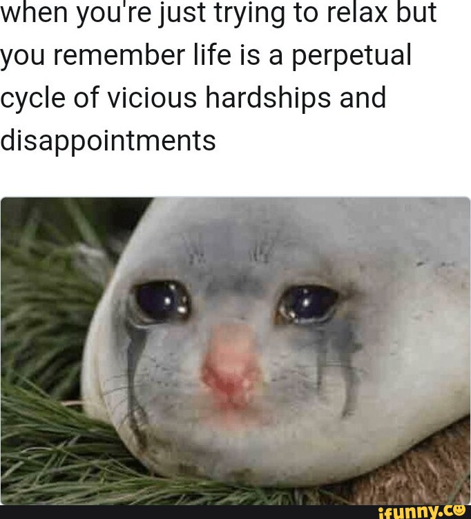 Cycle memes. Best Collection of funny Cycle pictures on iFunny