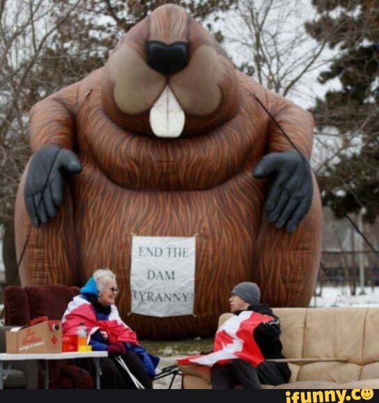 Ambassador_bridge memes. Best Collection of funny Ambassador_bridge pictures on iFunny