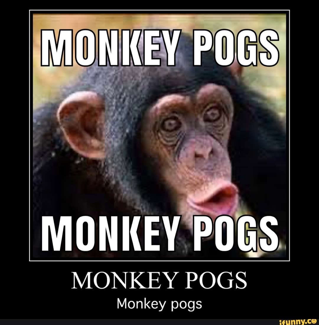 MONKEY POGS MONKEY POGS. MONKEY POGS Monkey pogs - iFunny