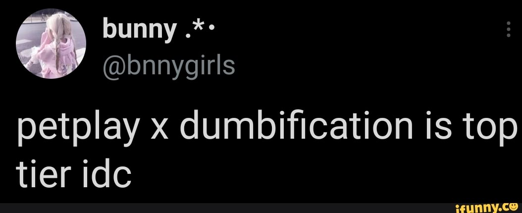 Bunny petplay x dumbification is top tier idc - iFunny