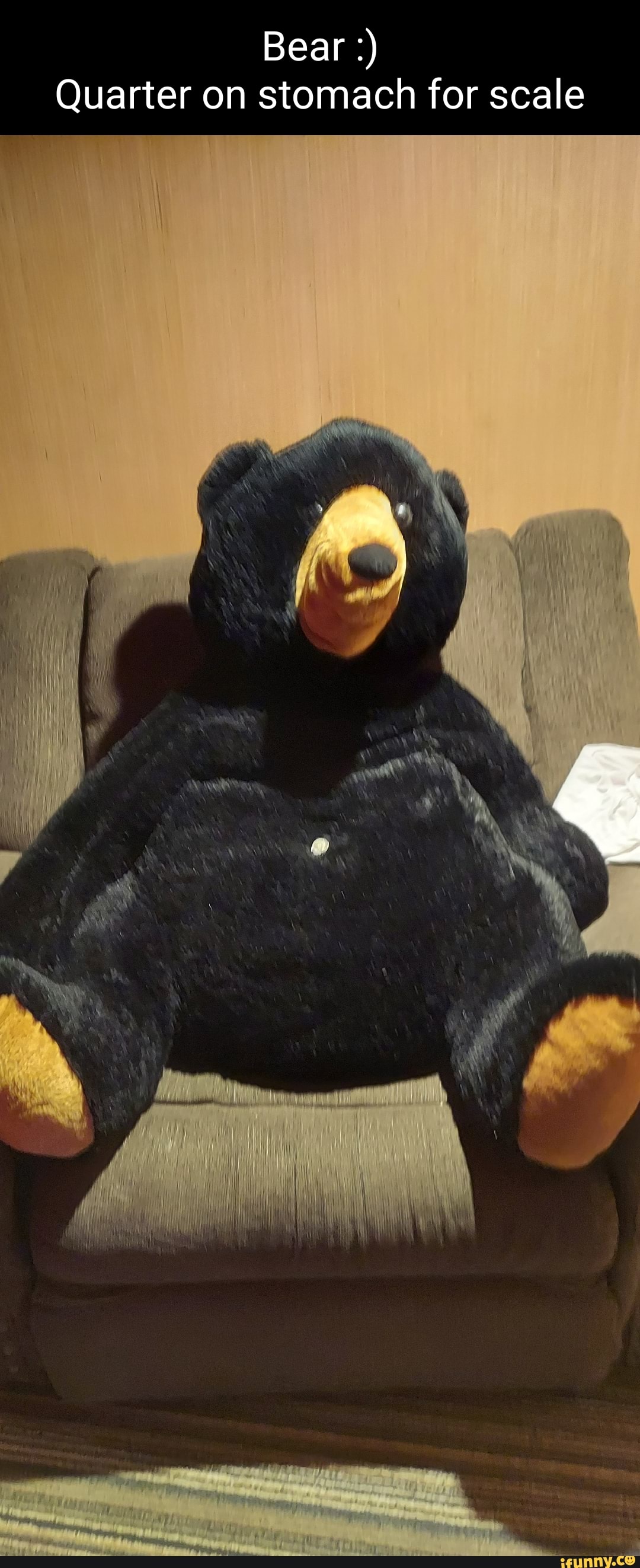 Bear Quarter on stomach for scale - iFunny