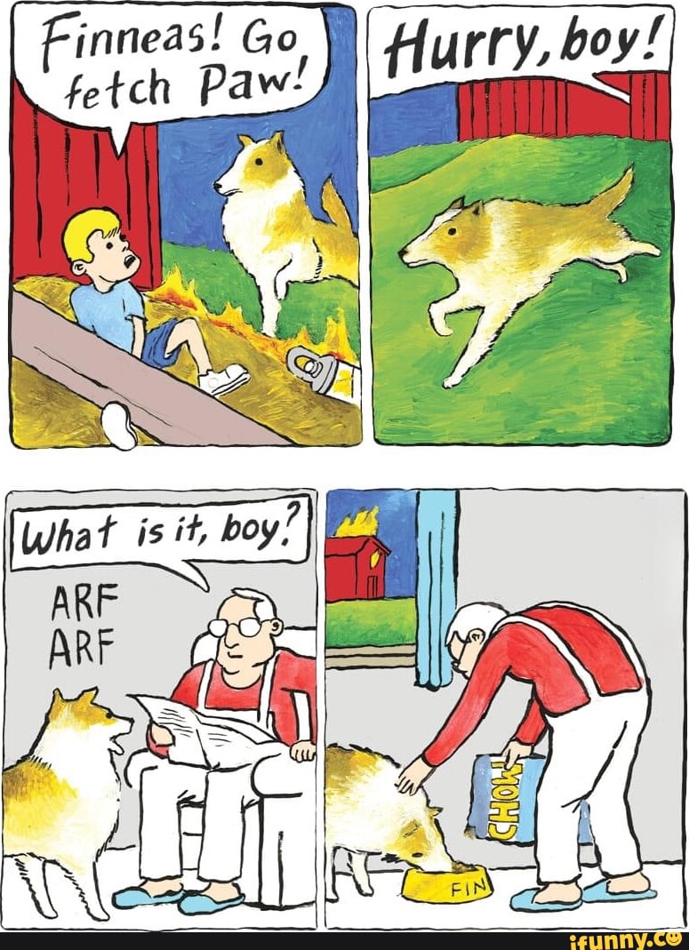 Fetch memes. Best Collection of funny Fetch pictures on iFunny