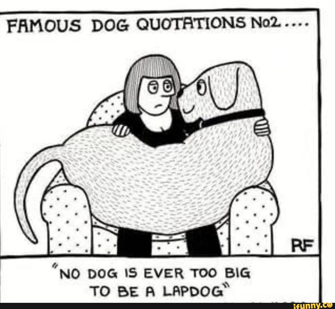 FAMOUS DOG QUOTATIONS "NO DOG IS EVER TOO BIG TO BE A LAPDOG - iFunny