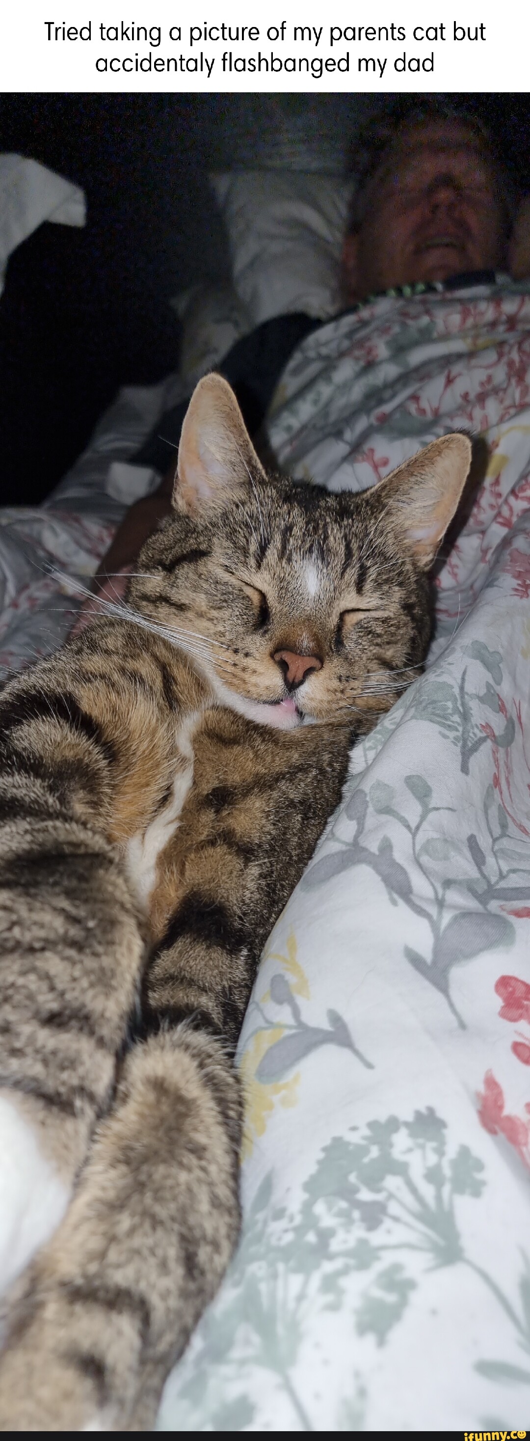 Tried taking a picture of my parents cat but accidentaly flashbanged my ...