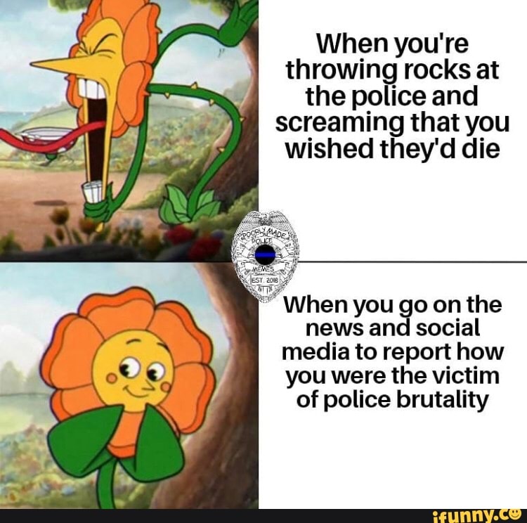 When you're throwing rocks at the police and screaming that you wished ...