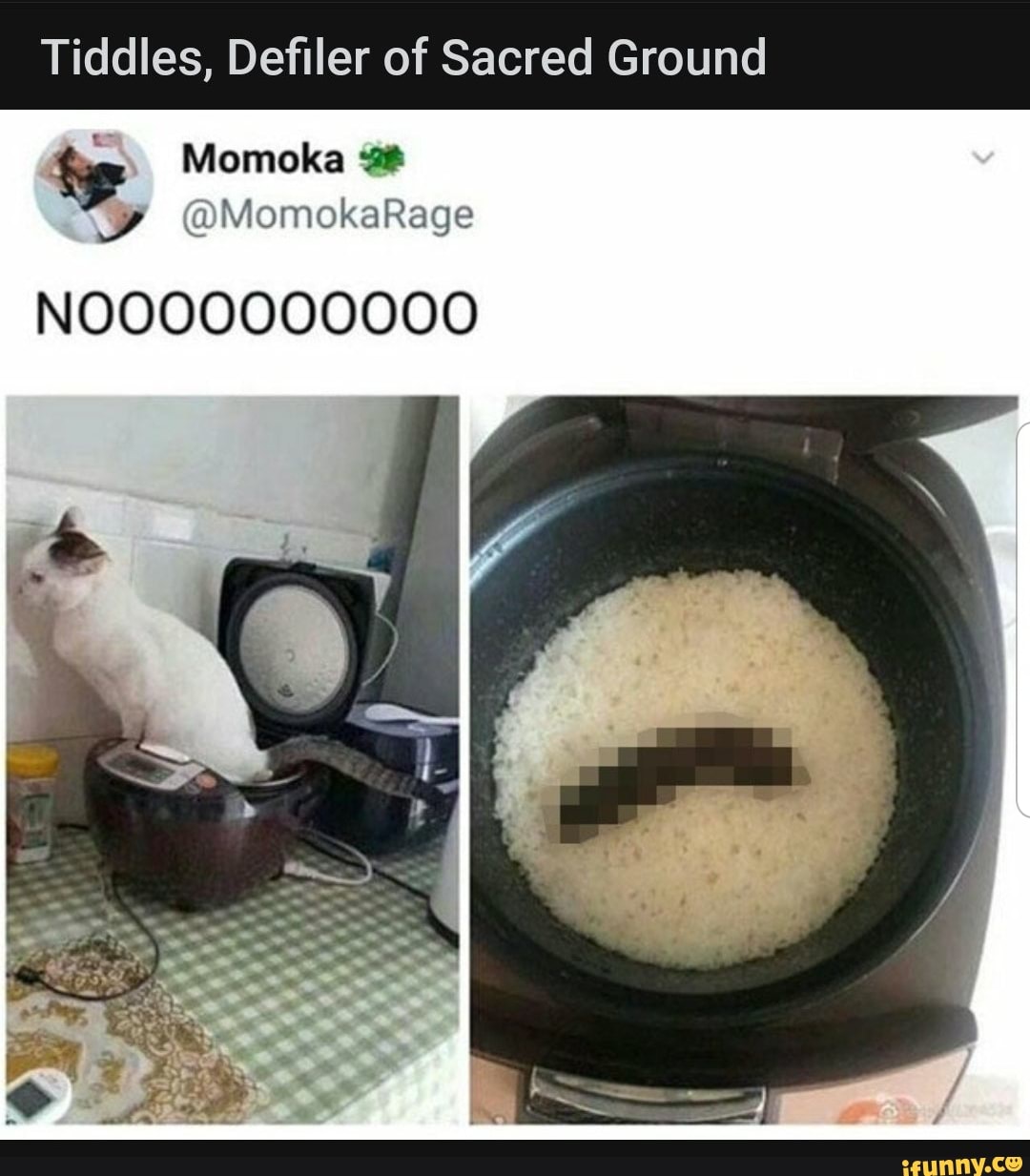 Momoka memes. Best Collection of funny Momoka pictures on iFunny