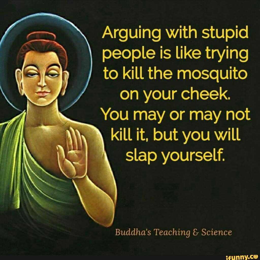 Arguing with stupid people is like trying to kill the mosquito on your ...